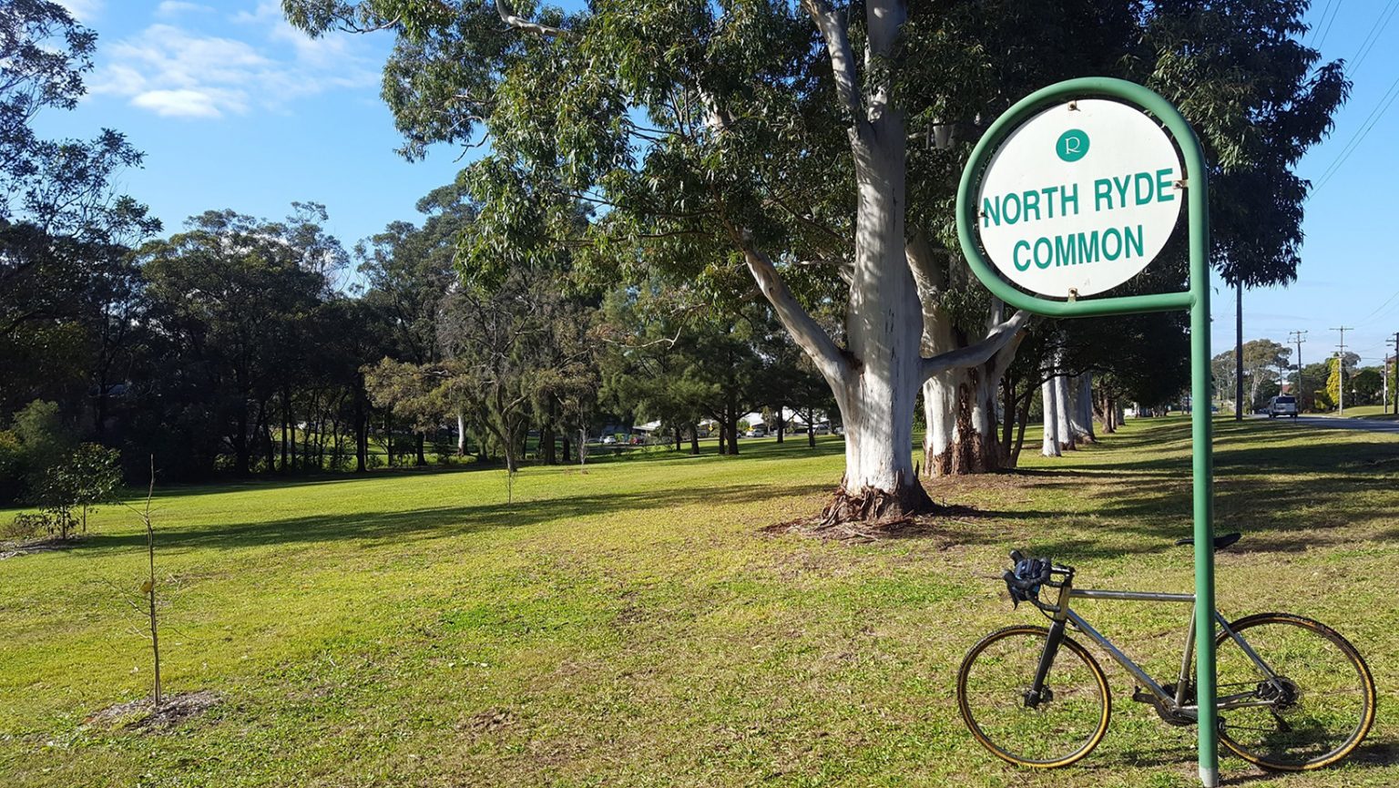 New North Ryde Common Course in Sydney | Australian Disc Golf